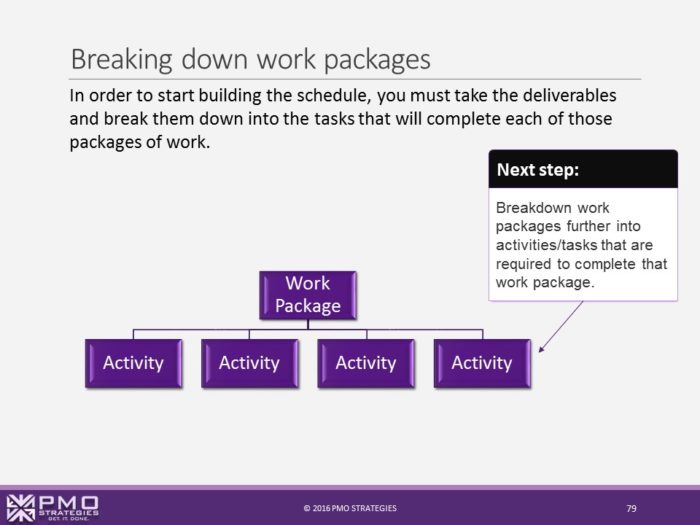 PM Playbook Membership - PMO Strategies