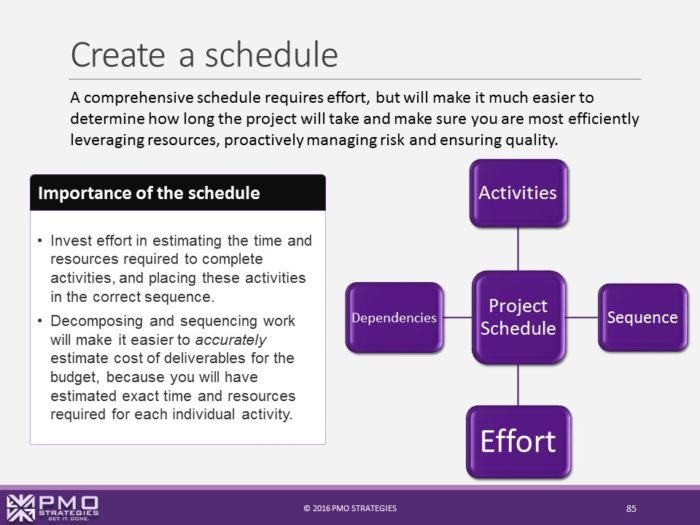 PM Playbook Membership - PMO Strategies