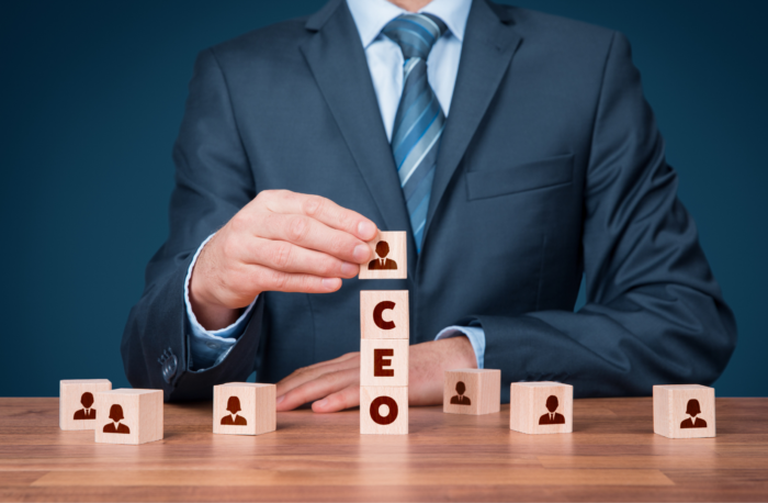 CEO Advisor – PMO and Strategic Alignment - PMO Strategies