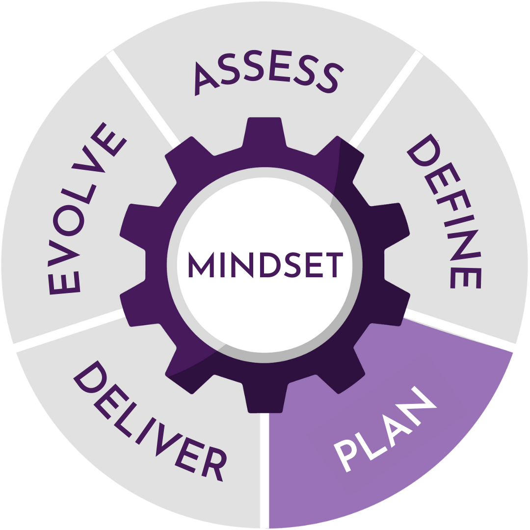 PPM Software Selection and Implementation – PMO Strategies