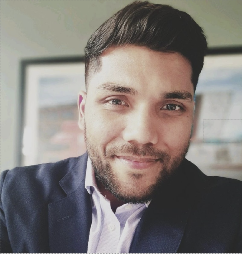 Strategic Portfolio Management – Alexander David – PMO Strategies